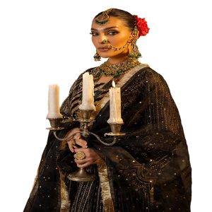 Party Wear Dresses 2024: Embrace Elegance with Malika-E-Jahan