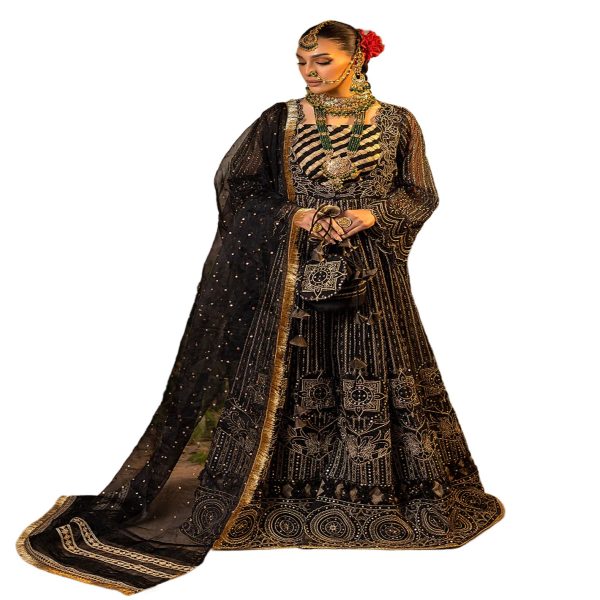 Party Wear Dresses 2024: Embrace Elegance with Malika-E-Jahan